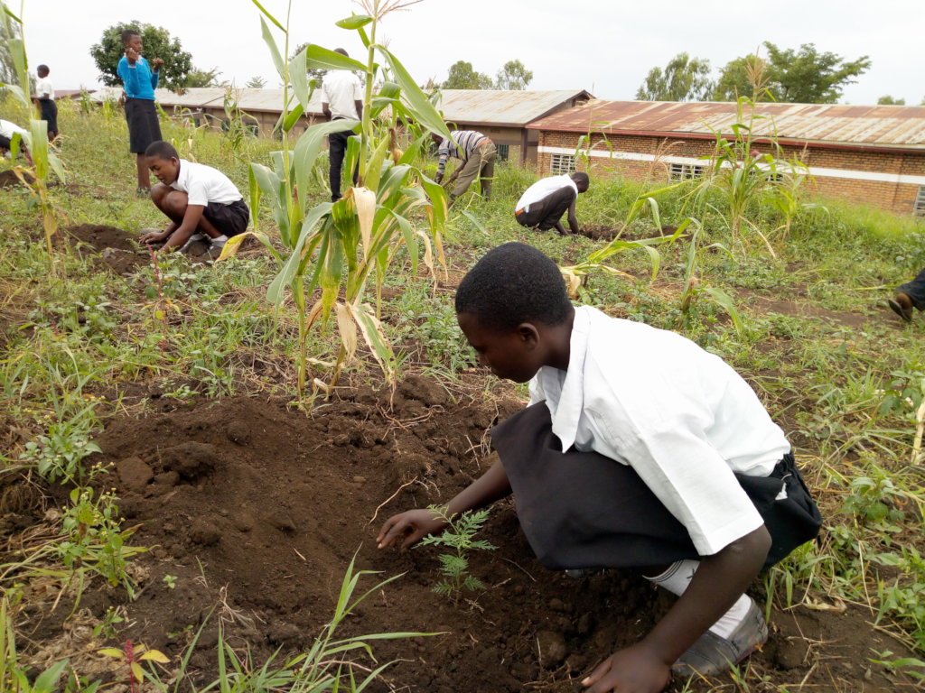 HELP TO ENHANCE PREVENTING POVERTY WITH TREES - GlobalGiving