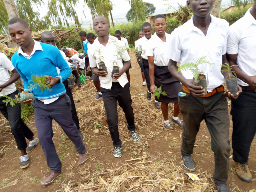 HELP TO ENHANCE PREVENTING POVERTY WITH TREES - GlobalGiving