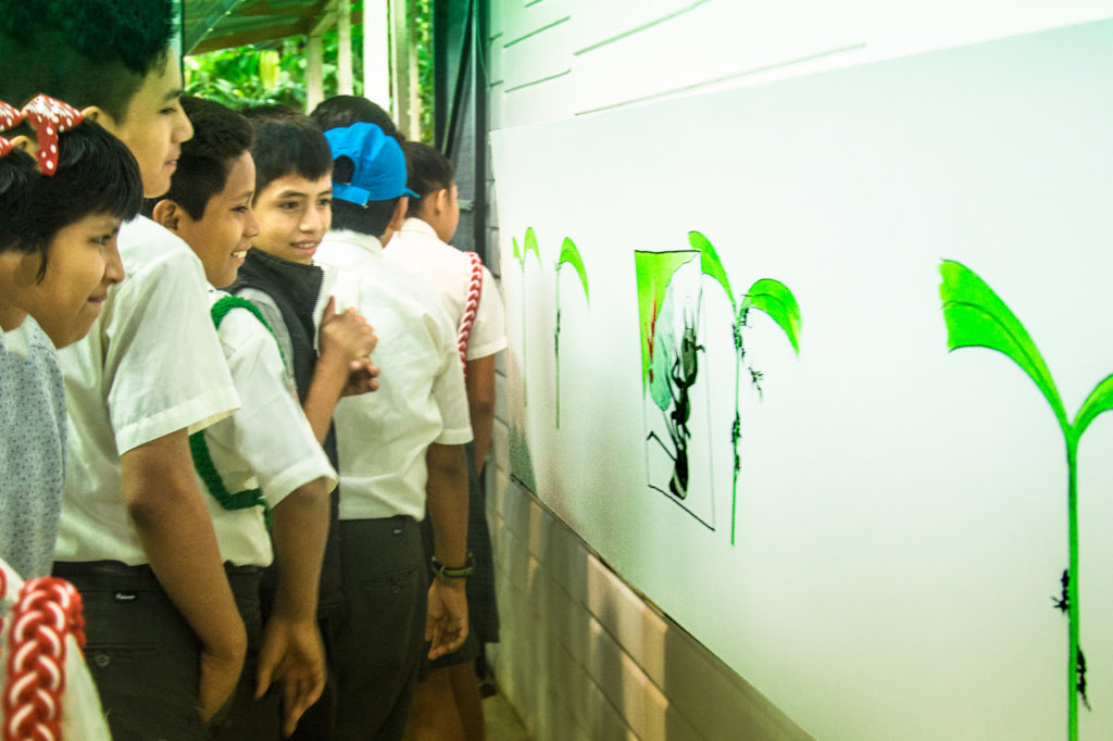 The Amazon Burning - Kids and Bugs to the Rescue! - GlobalGiving