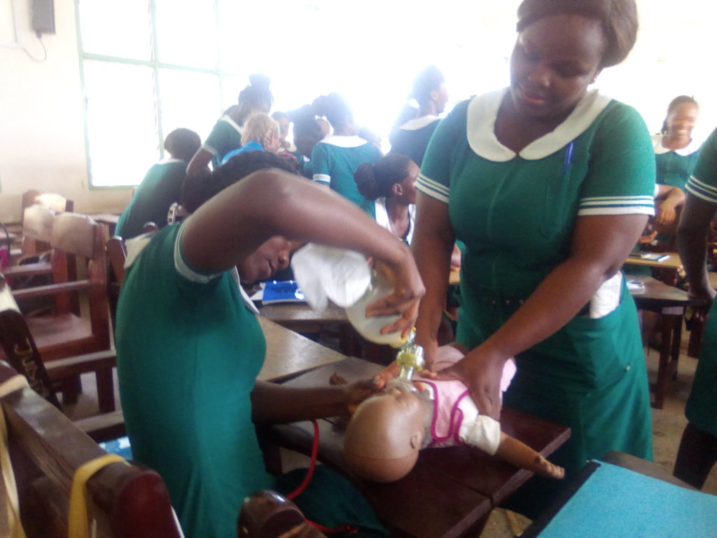 Training of 10 Midwives in Helping babies breath - GlobalGiving