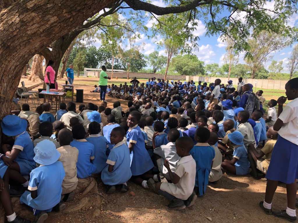 Educate and Empower 18,000 Girls in Zimbabwe - GlobalGiving