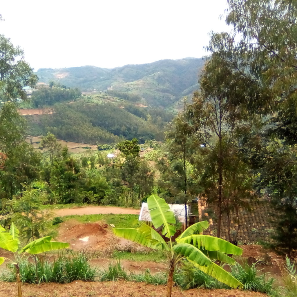 HELP 35 HANDCRAFT COOPERATIVES IN RWANDA - GlobalGiving