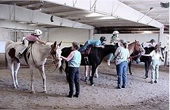 Angela Knopf: Using horses to help kids - GlobalGiving