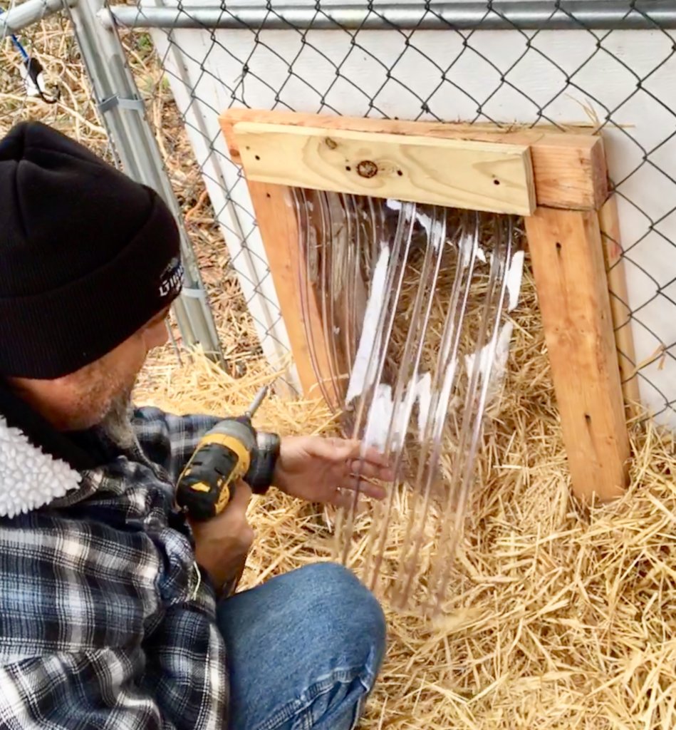 Getting Dogs Off Chains - GlobalGiving