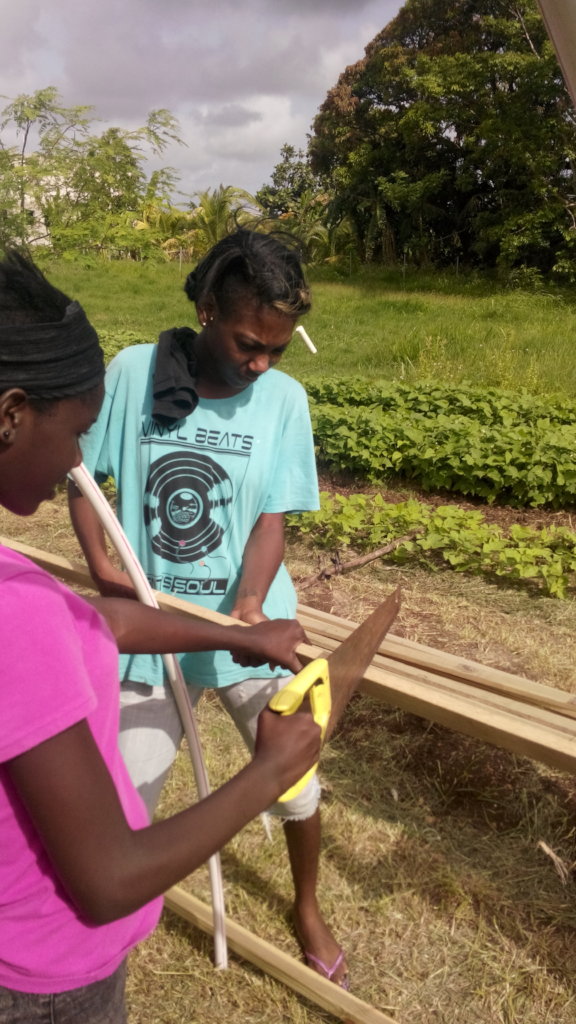 Training Barbados youth in farming and leadership - GlobalGiving