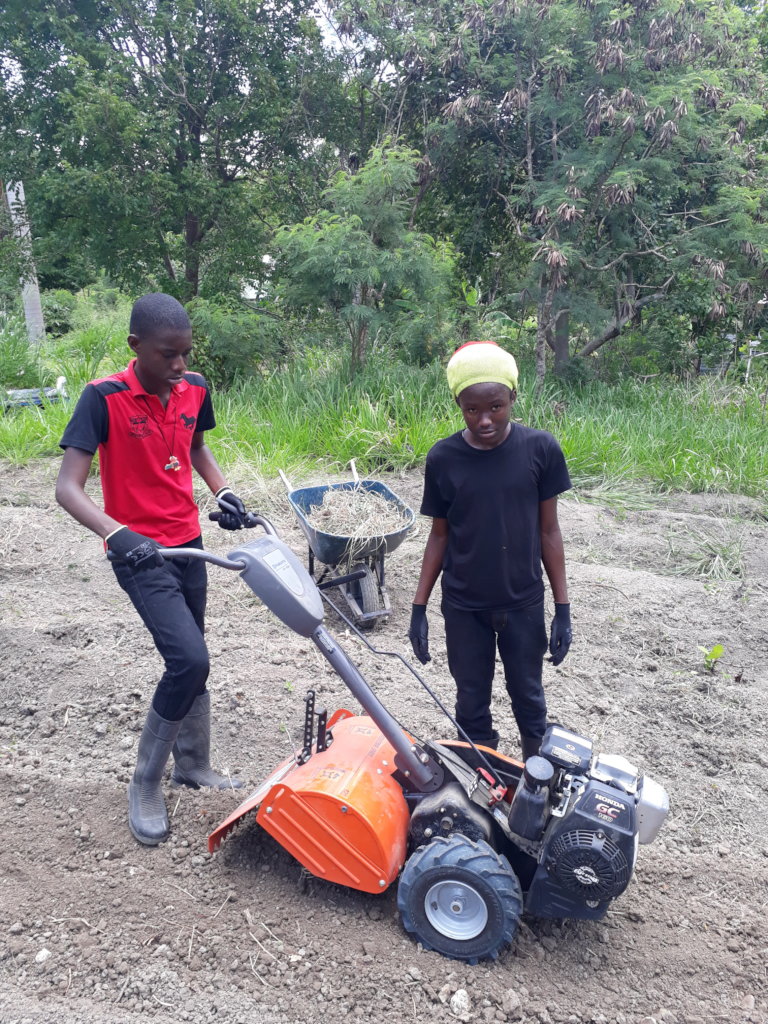 Training Barbados youth in farming and leadership - GlobalGiving