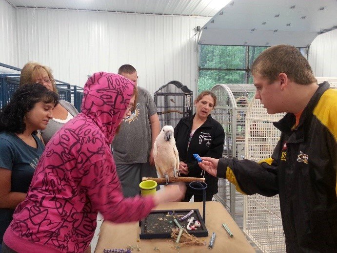 Green Care Project Community Garden Globalgiving