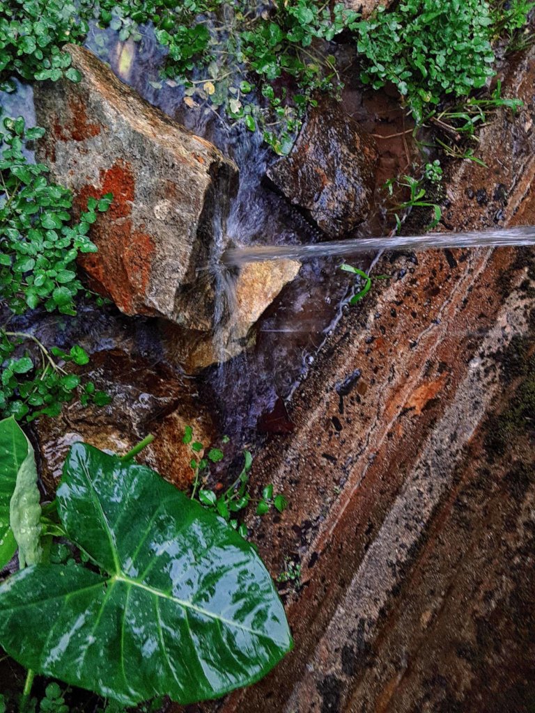 Adjuntas "Manatial" Project for Water Conservation - GlobalGiving