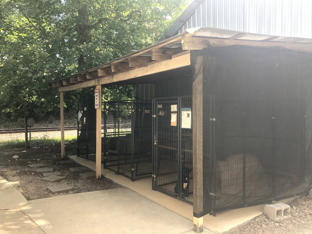 Build a Shelter for Homeless Animals like Bailey - GlobalGiving