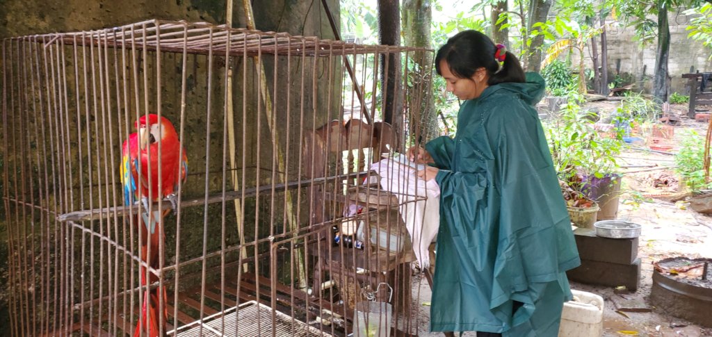 Fund 16 Honduran Women Saving Endangered Parrots - GlobalGiving