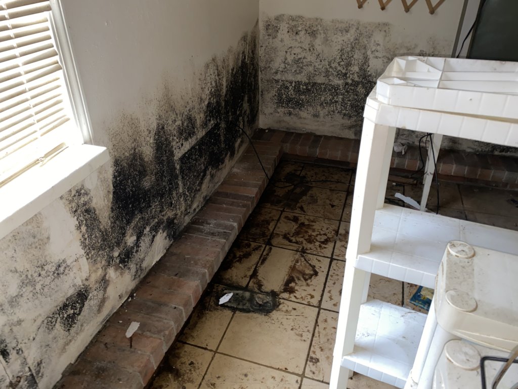 Disaster Survivors - Immediate Need: Home Recovery - GlobalGiving