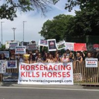 Help end horseracing in the United States - GlobalGiving