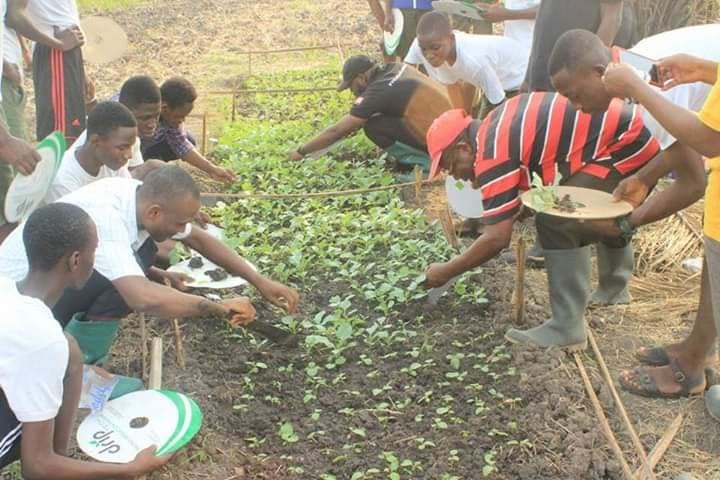 School farms: Experiential learning & school meals - GlobalGiving
