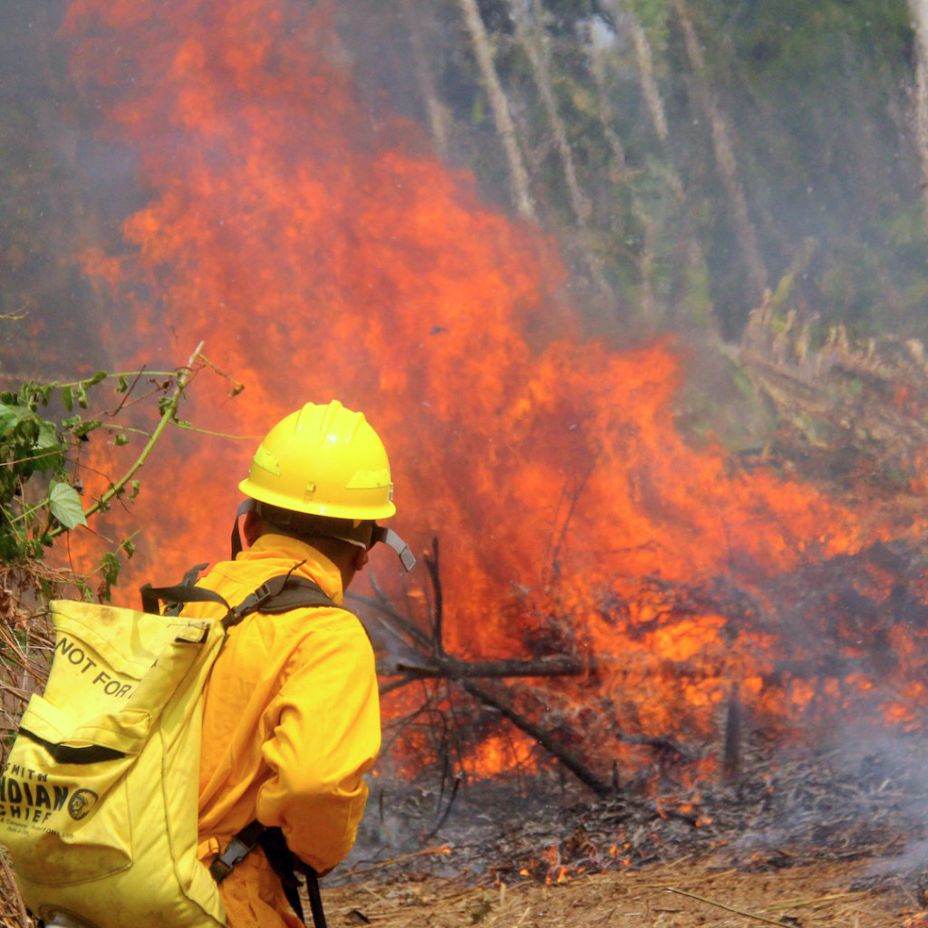 Building Community Fire Fighting Capacity - GlobalGiving