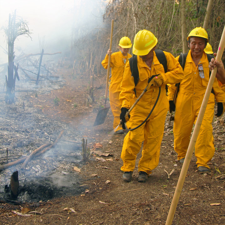 Building Community Fire Fighting Capacity - GlobalGiving