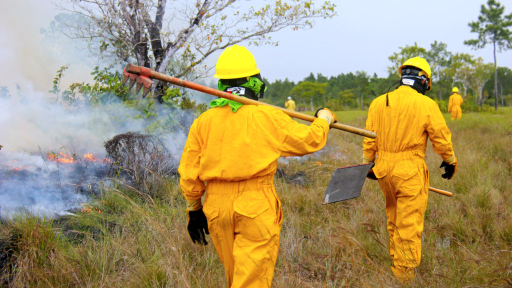 Building Community Fire Fighting Capacity - GlobalGiving