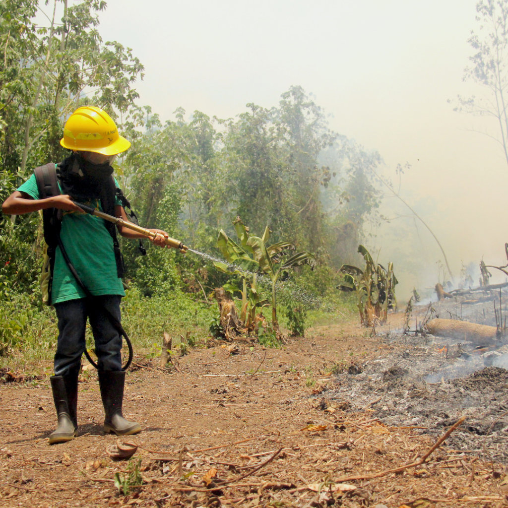 Building Community Fire Fighting Capacity - GlobalGiving