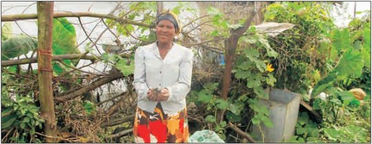 Develop sustainable farming in rural South Africa - GlobalGiving