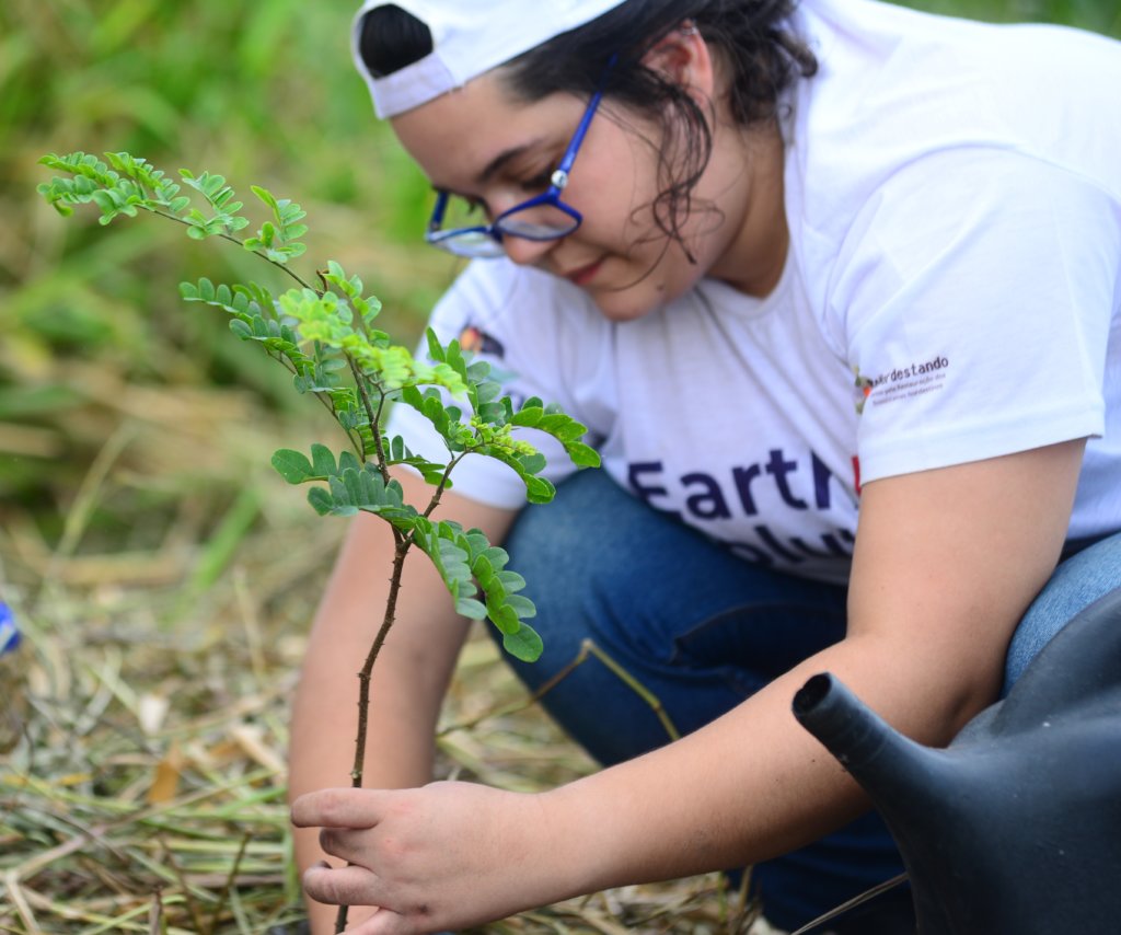 Plant Trees to Save Biomes & Communities in Brazil - GlobalGiving
