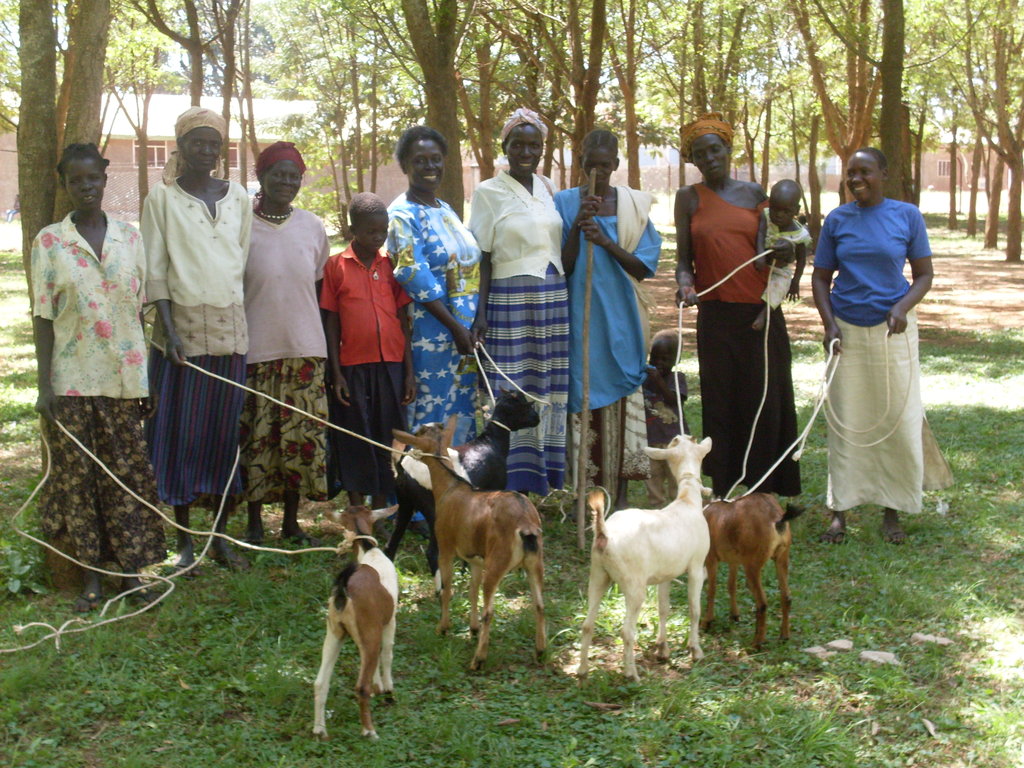 Reports On Feed Educate Empower Acholi Women And Girls Globalgiving