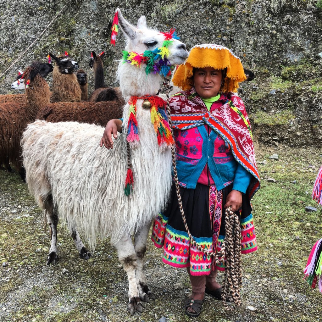 Help 85+ llama farmers in Peru access fair work - GlobalGiving