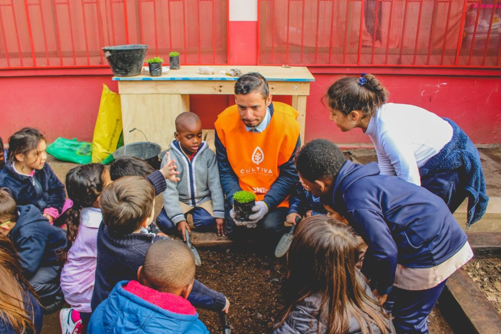 Help 350 families grow food to overcome COVID-19 - GlobalGiving