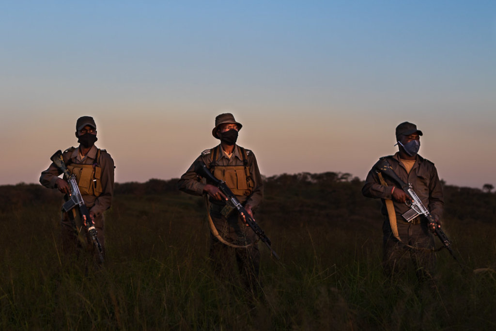 Endangered Species Protection Project - GlobalGiving