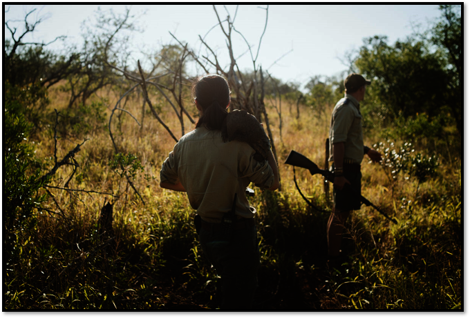 Endangered Species Protection Project - GlobalGiving