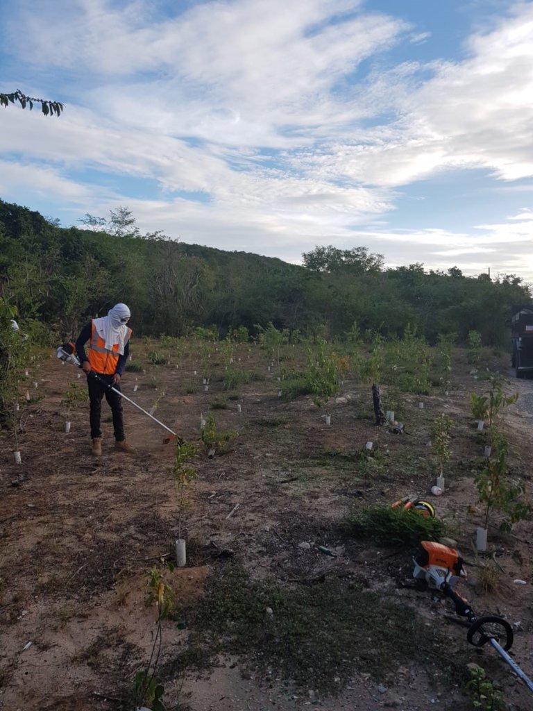 Reports on Restore impacted protected forest in Puerto Rico - GlobalGiving