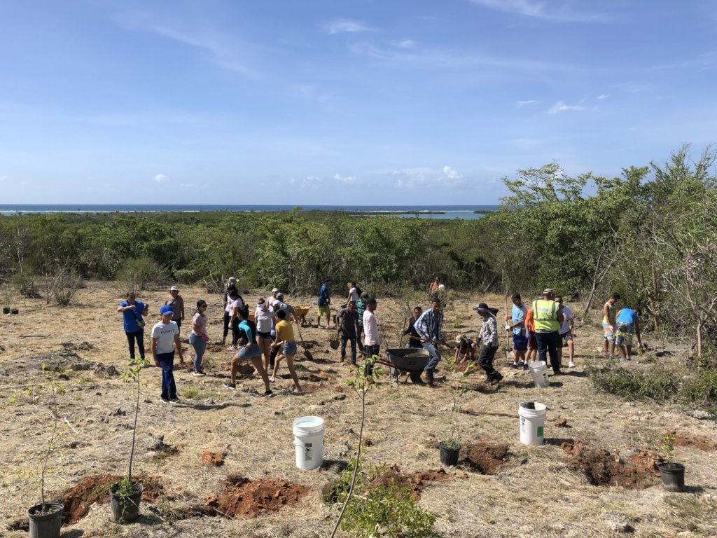 Restore impacted protected forest in Puerto Rico - GlobalGiving