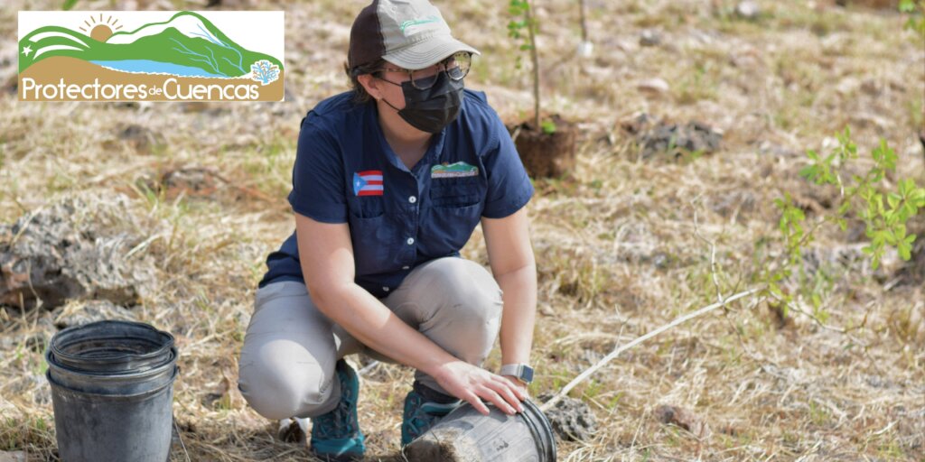 Restore impacted protected forest in Puerto Rico - GlobalGiving
