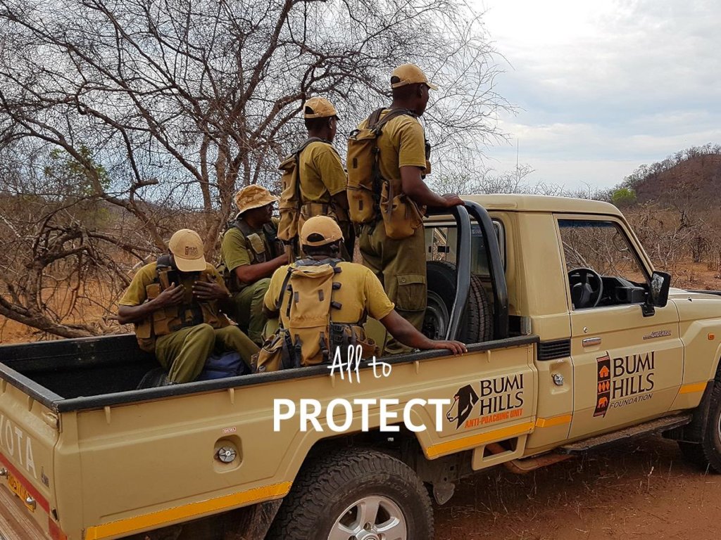Protect Zimbabwe's Wildlife from Poaching - GlobalGiving