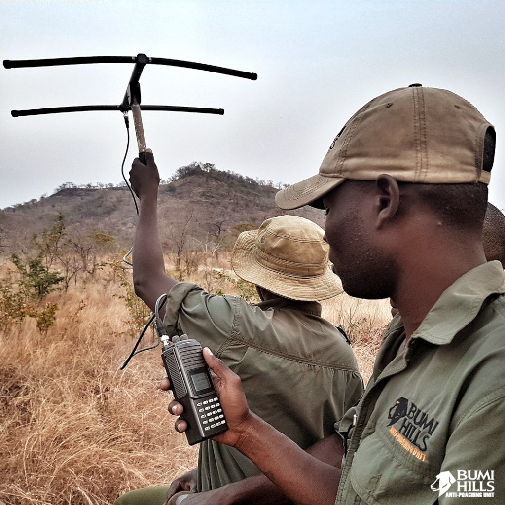 Protect Zimbabwe's Wildlife from Poaching - GlobalGiving