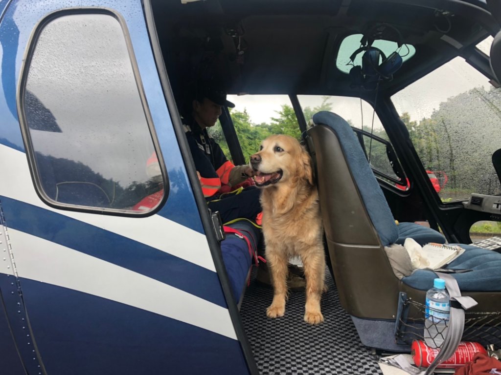 Flood & Landslide Relief in Kyushu, Japan (2020) - GlobalGiving