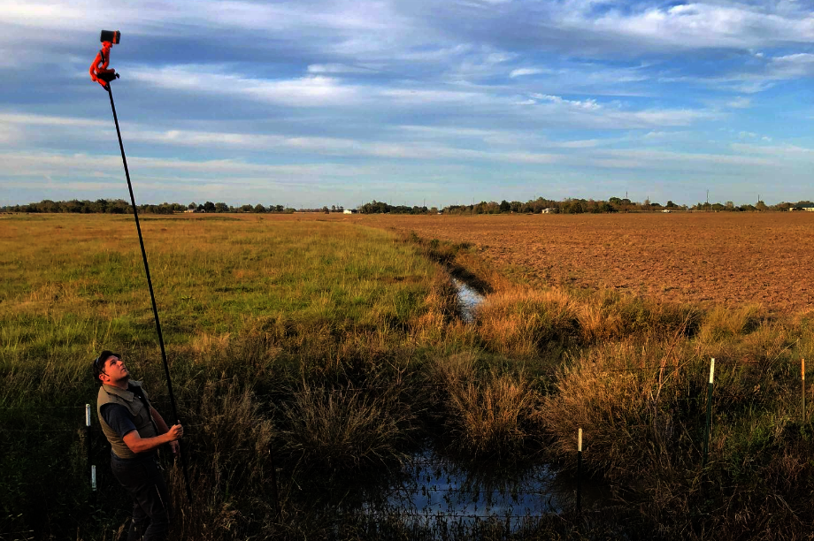 Nature-based Resiliency in Harvey Recovery - GlobalGiving