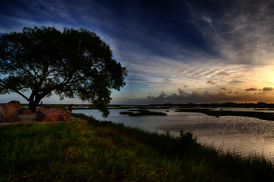 Nature-based Resiliency in Harvey Recovery - GlobalGiving