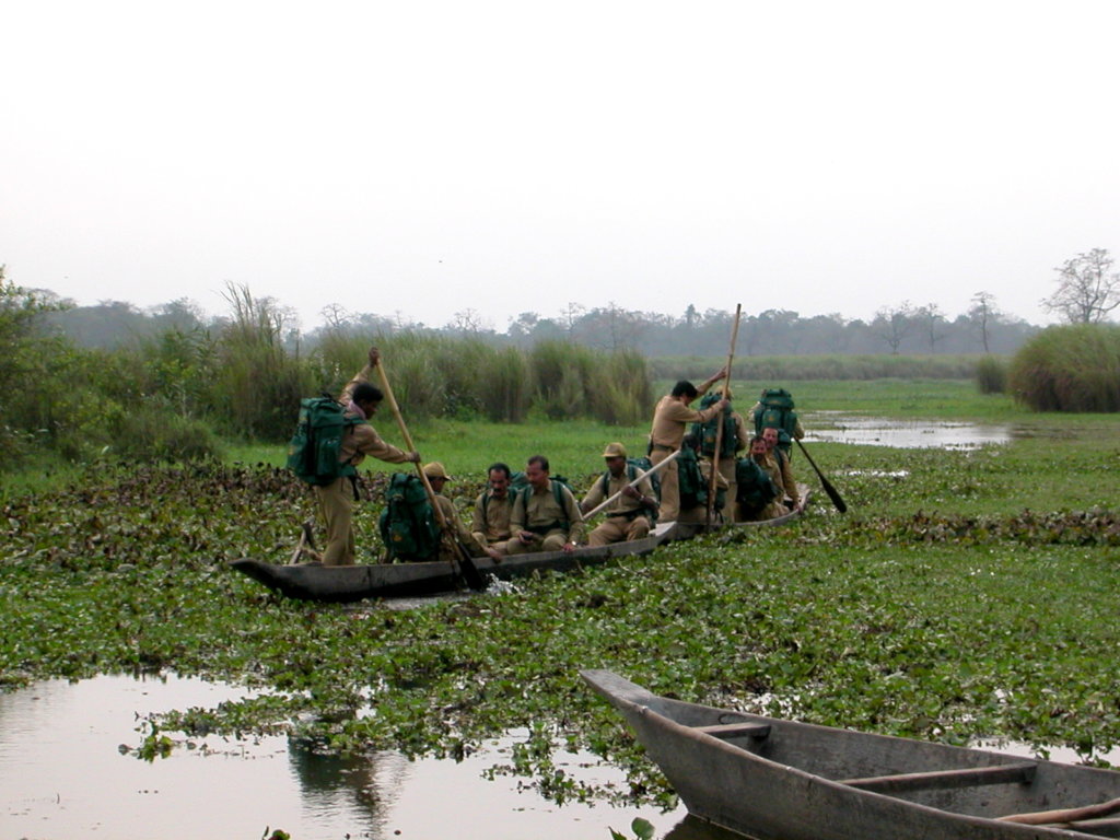 Thank our Forest Guards this World Ranger Day - GlobalGiving