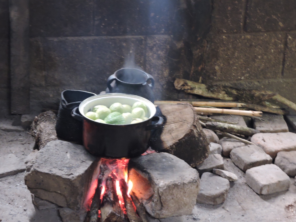 Reports on Healthy cook stoves for 100 Guatemalan families - GlobalGiving