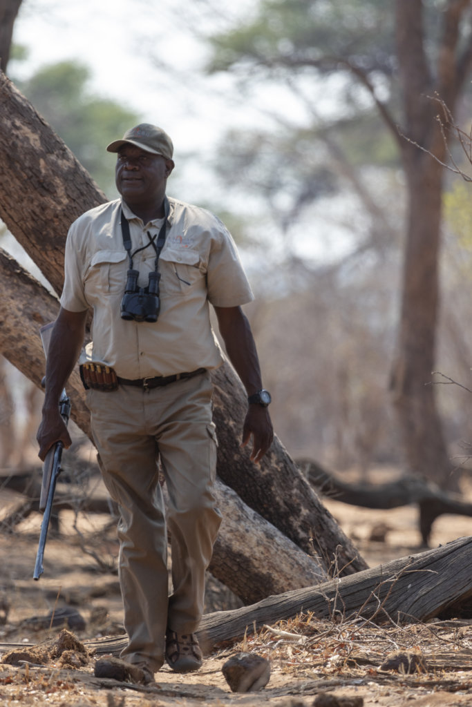 Support 340 Wildlife Rangers in Zimbabwe - GlobalGiving