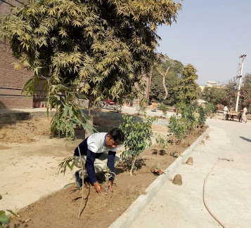 Plant Tree: Save Pakistan - GlobalGiving