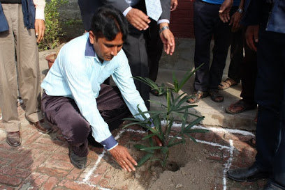 Plant Tree: Save Pakistan - GlobalGiving