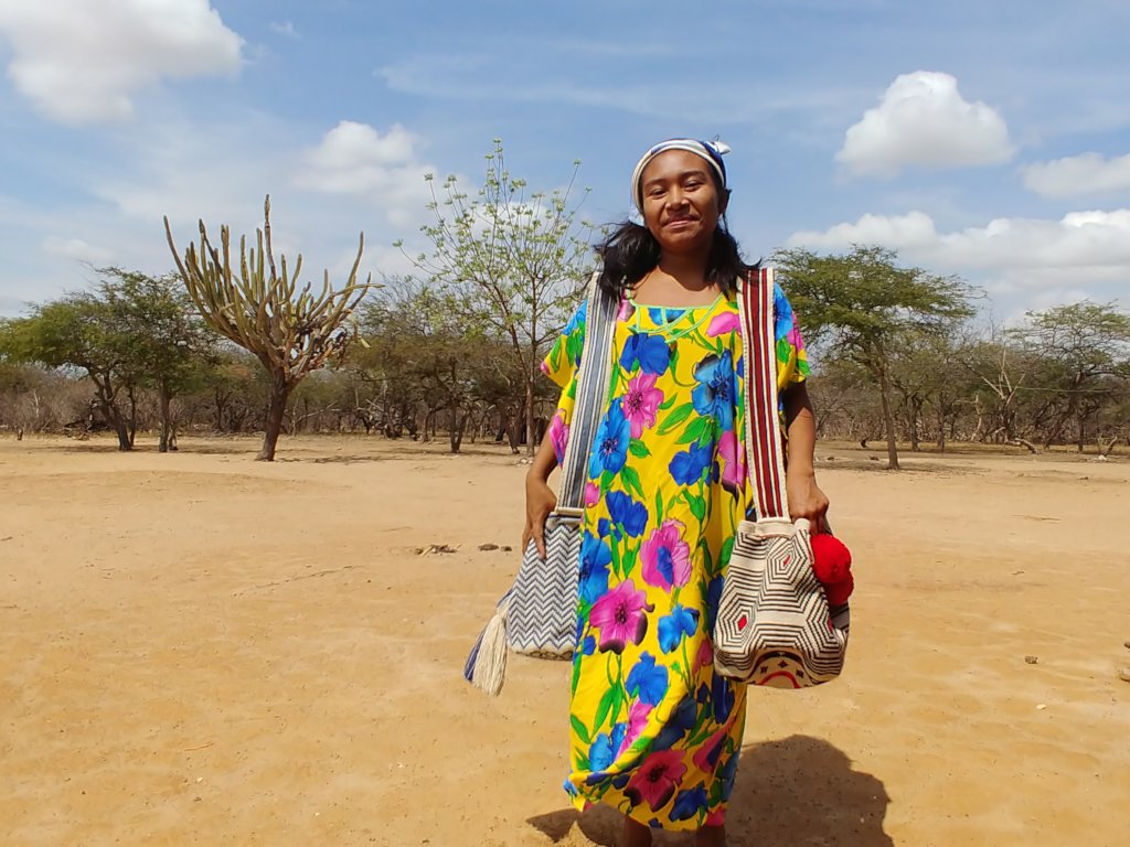 Empower WAYUU women through handcrafted bags - GlobalGiving