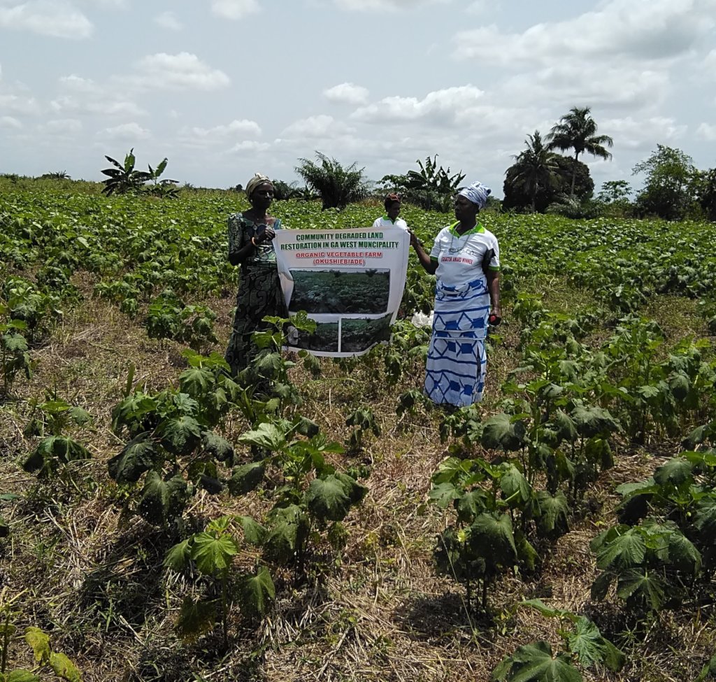 EMPOWER 200 RURAL WOMEN AND YOUTH WITH BEEKEEPING - GlobalGiving