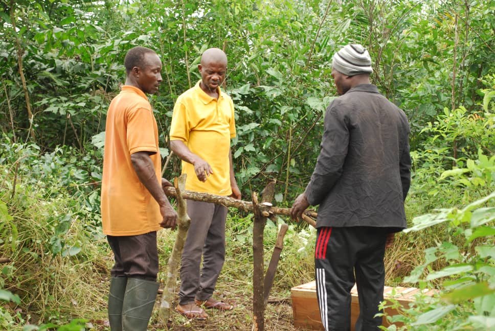 EMPOWER 200 RURAL WOMEN AND YOUTH WITH BEEKEEPING - GlobalGiving