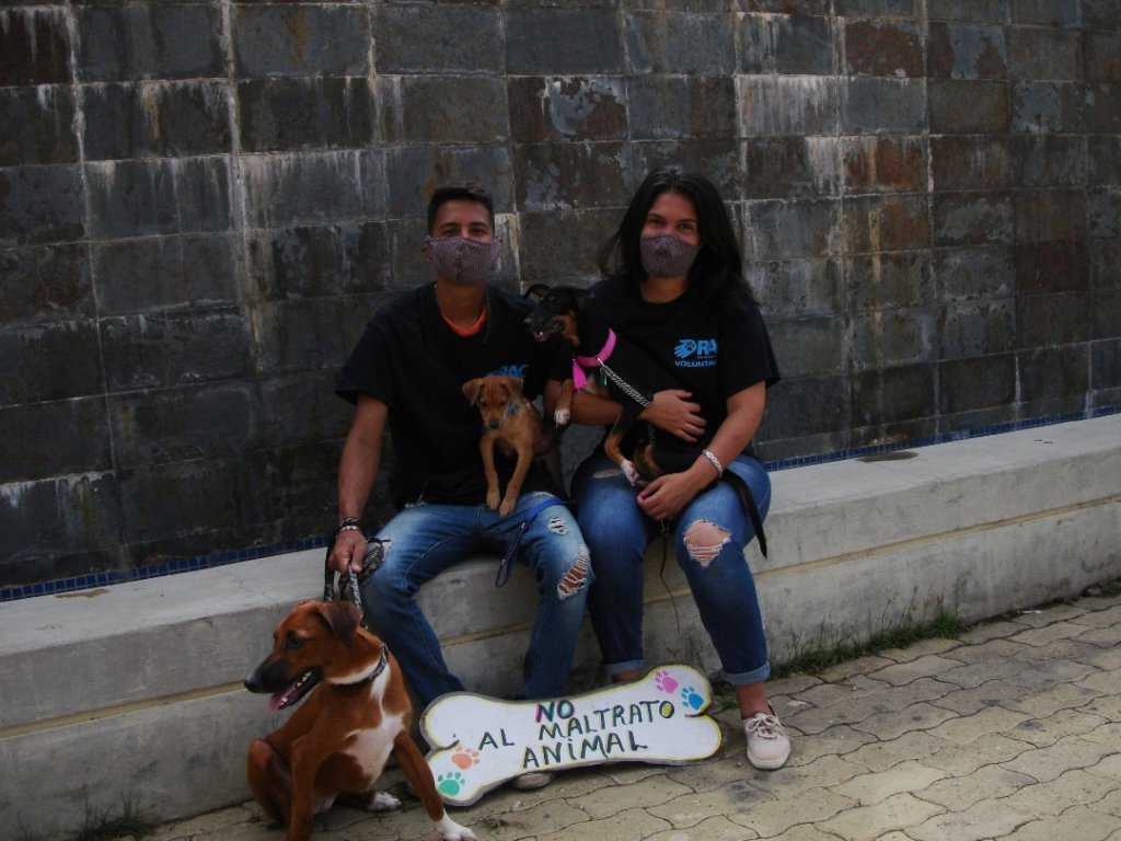 Give +10k dogs&cats in Venezuela a second chance - GlobalGiving