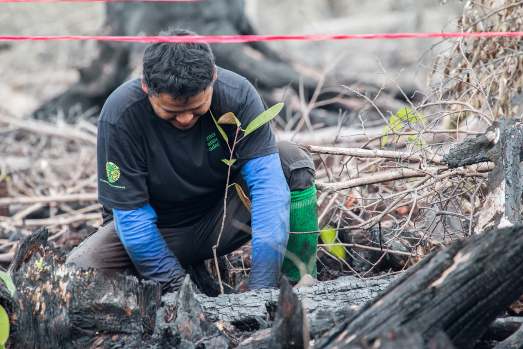 Community Conservation of Borneo's Rainforests - GlobalGiving
