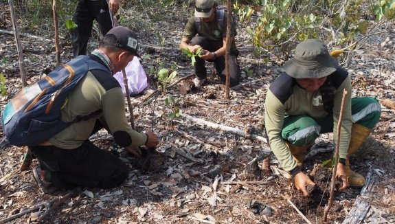 Community Conservation of Borneo's Rainforests - GlobalGiving