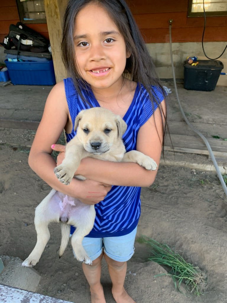 Playground for Rural First Nation Community - GlobalGiving