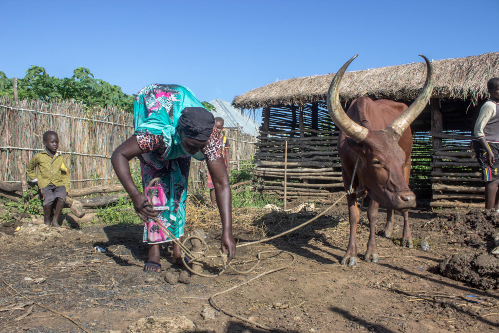 100 Refugee Women Launch Micro-Businesses in Camps - GlobalGiving