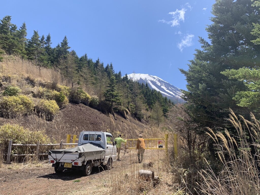 Reports on Regenerating 100-Hectare Forest in Mt. Fuji - GlobalGiving